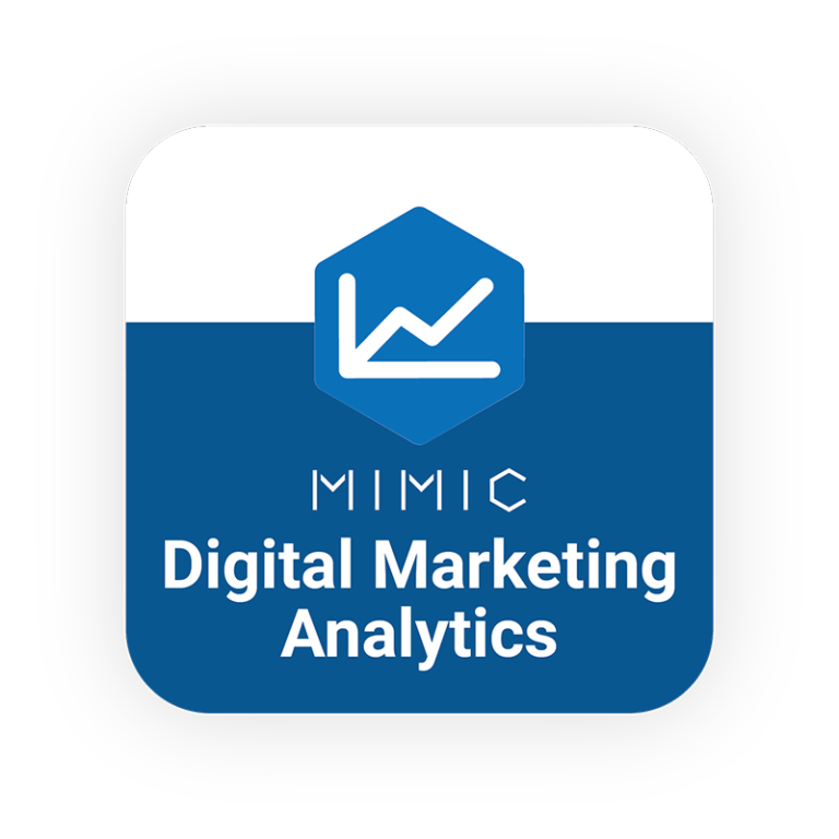 Mimic Digital Marketing Analytics I Hands-On Simulation : Stukent