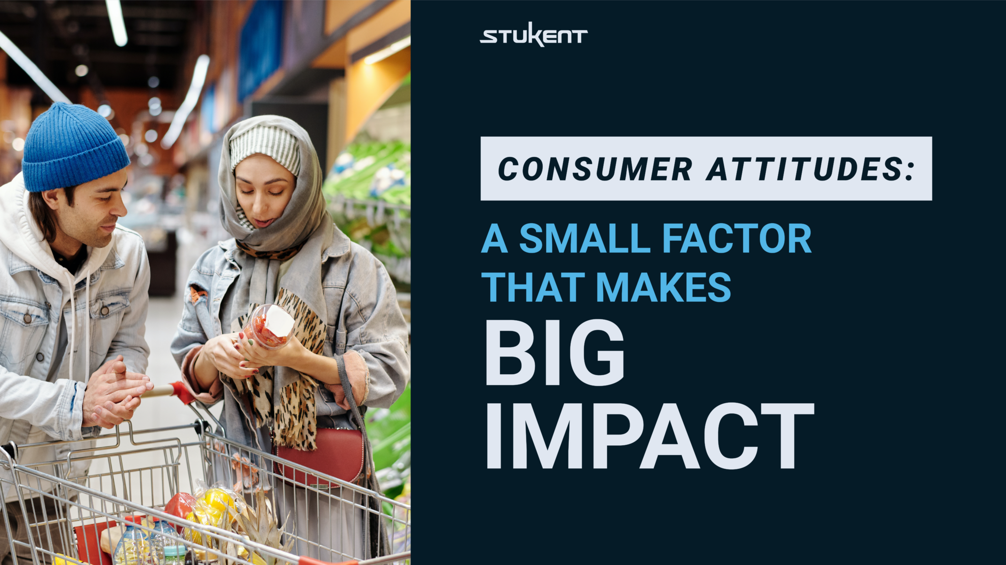 Consumer Attitudes: A Small Factor that Makes a Big Impact : Stukent