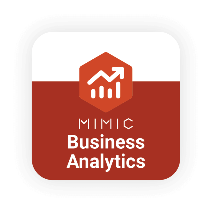 Mimic Business Analytics - Stukent : Stukent